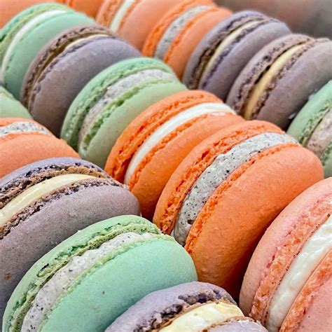 Macaron Masterclass Sallys Baking Classes