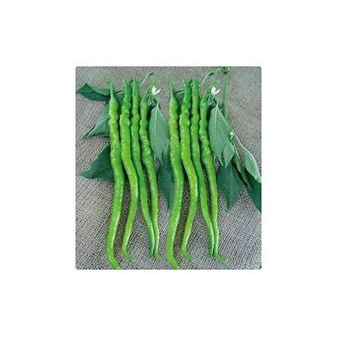 Tatlı Kıl Biber Tohumu Kelimesi Için Etiket Sonuçları Tr