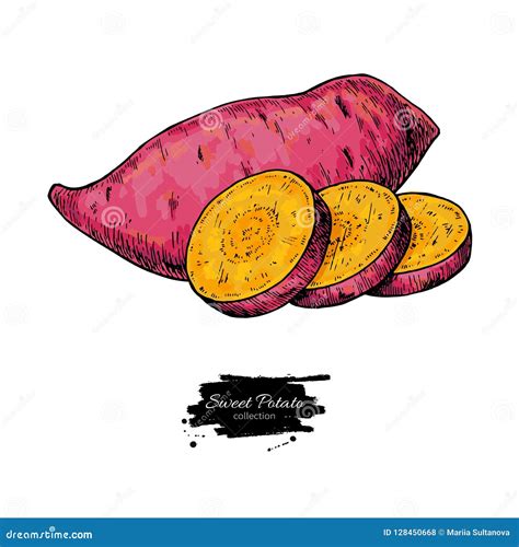 Sweet Potato Line Drawing At Savannah Cawthorne Blog