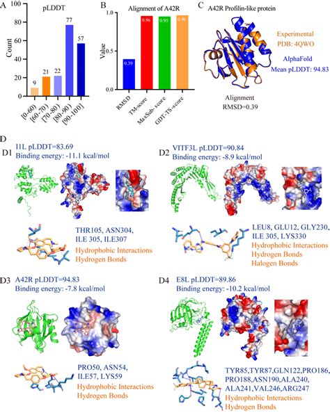Protein Structural Analysis And Drug Screening Of The Monkeypox Virus