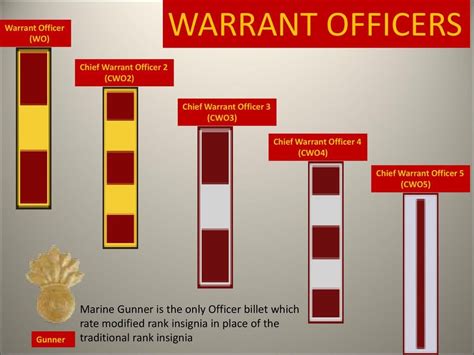 What Is A Marine Warrant Officer At Anne Brown Blog