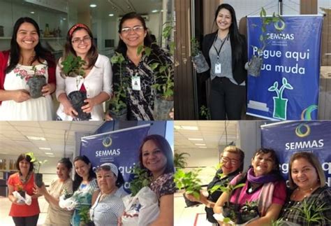 Trts 11 E 22 Distribuem Mais De Mil Mudas De Plantas Frutíferas E