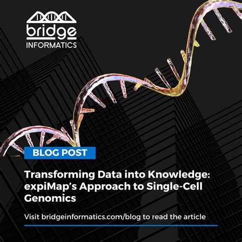 Dan Ryder On Linkedin Bioinformatics Singlecellgenomics Cellatlas Expimap