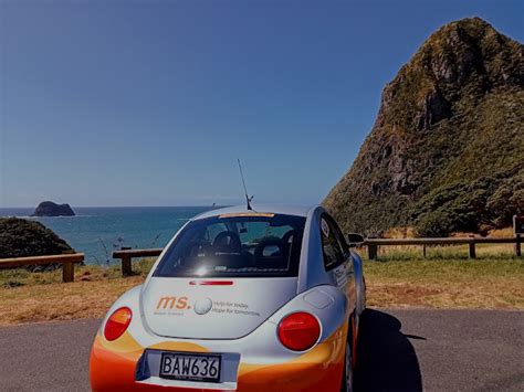 4 reviews of ms taranaki multiple sclerosis taranaki inc association