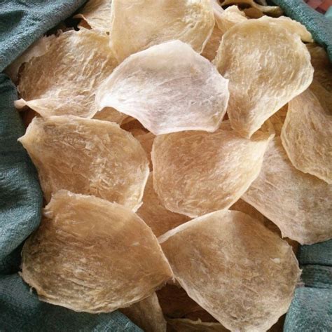 Premium Dried Eel Fish Maw From Vietnam Perfect For Fish Maw Soup And