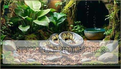 Ball Python Starter Kit 7 Best Complete Setups For Beginners 2025