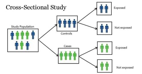 Cross Sectional Study Epidemiology Microbe Notes