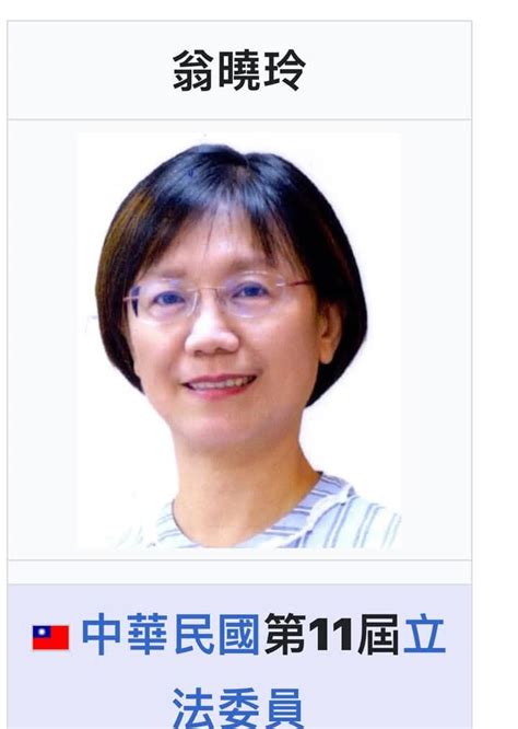我是大樹人 😱 驚世立委翁曉玲是介入別人婚姻的小三