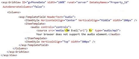 Adding Audio Inside Gridview Using Html 5 Audio Tag
