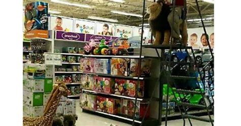 Circle Of Life Brah Imgur Circle Of Life Brah Imgur