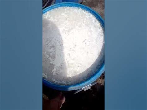 Гравицапа на резинке от трусов. Сбраживаем зерновые браги. - YouTube