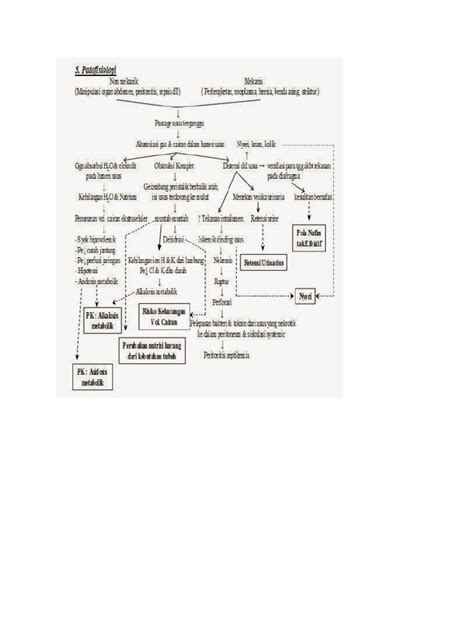 Pathway Ileus Obstruktif Pdf