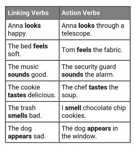 Regular Verb Examples Sentences