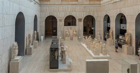 Jeannette Plummer Sires Arqueóloga Los Restos Humanos No Son Objetos