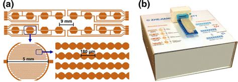 Interdigitated Electrode Based Impedance Sensors B Multiplex Impedance