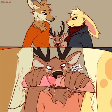 Rule 34 11 Anthro Assisted Frottage Balls Canid Canine Casual