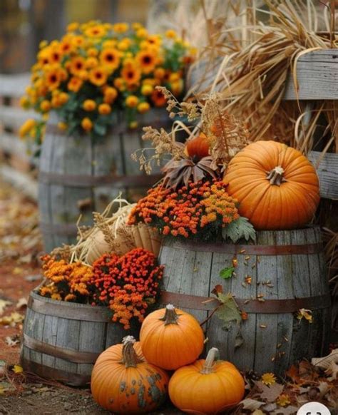 Pinterest In 2024 Fall Outdoor Decor Fall Decorations Porch Fall