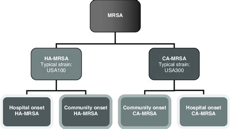 Classification Scheme For Methicillin Resistant Staphylococcus Aureus