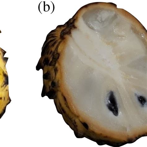Arrhenius Representation For The Effective Moisture Diffusivity