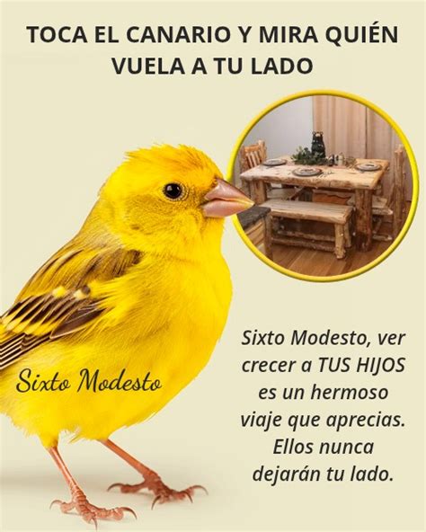 Sixto Modesto Benalcazar Bravo