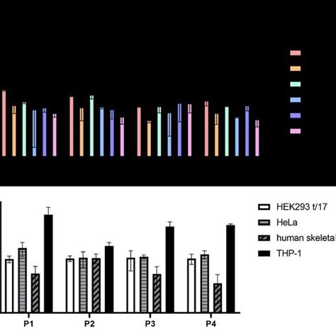 Cell Transfection Efficiency In Hek 293t17 Cells Of The Polyplexes