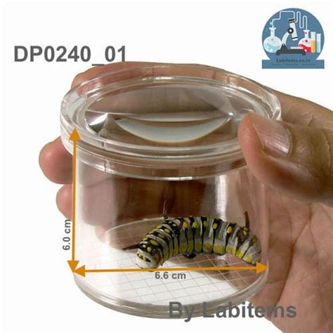 Insect Viewing Jar Li Ir 78 At ₹ 595unit Disposable Plasticware In