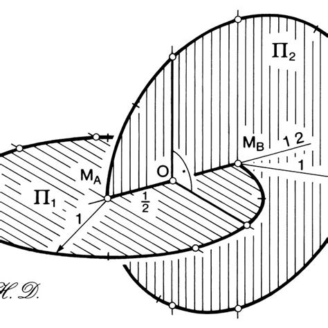 Pdf The Development Of The Oloid