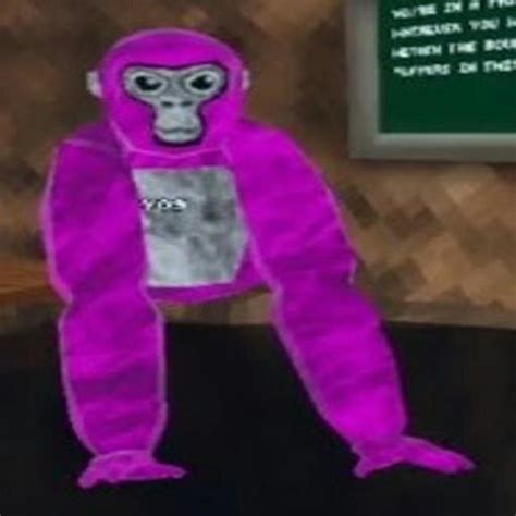 Daisy09 Gaming Urban Legends Wiki Fandom