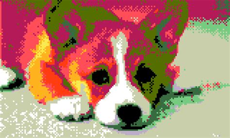 Corgi Summer School Supreme Court Edition By Laura Michet