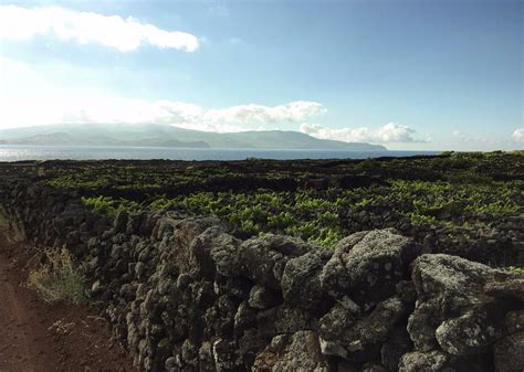 Visitez Pico Le Meilleur De Pico Portugal Pour 2023 Expedia