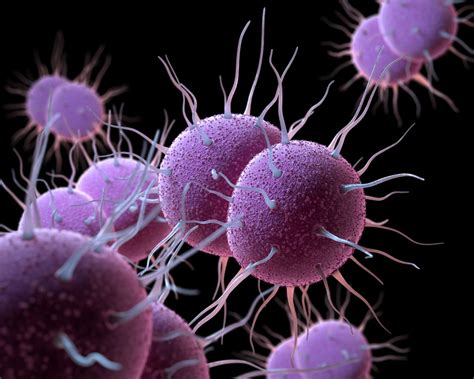 China Sees Dramatic Rise In Ceftriaxone Resistant Gonorrhea Cidrap