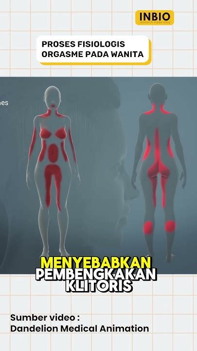 Proses fisiologis orgasme pada wanita - YouTube