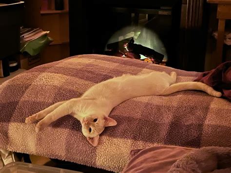 Donna Ludwig Donnaludwig • Instagram Photos And Videos