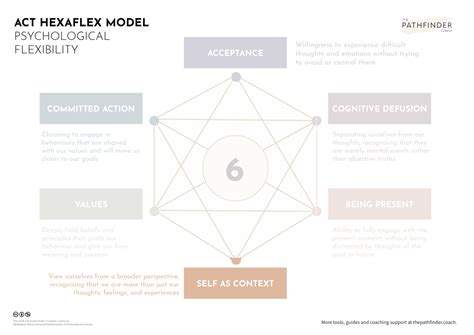 Act Hexaflex Model The Pathfinder