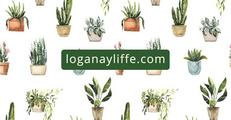 Working With Base64 Encoded Java Key Stores And X509 Certificates