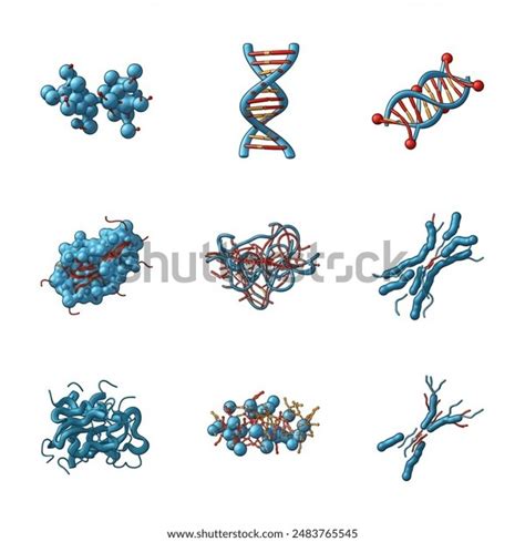Lo Mejor En La CategorĂa Embedding Dna De Imágenes Fotos De Stock E Lo Mejor En La CategorĂa Embedding Dna De Imágenes Fotos De Stock E