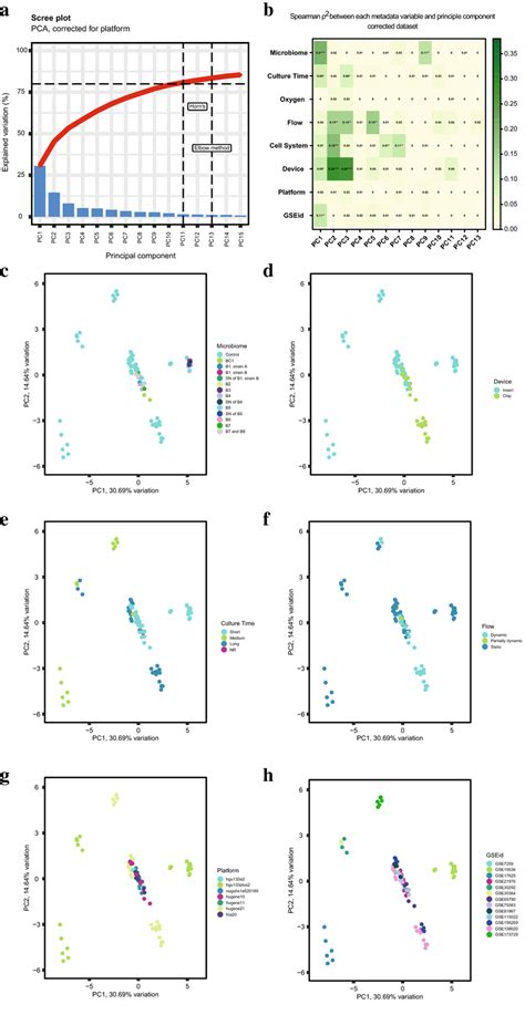 Multilevel Principal Component Analysis At Model Level After