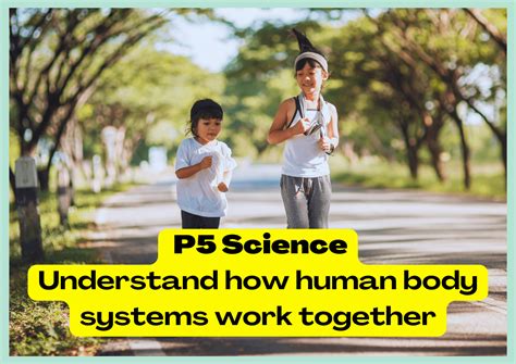 Primary 5 Science Revision Notes The Science Shifu