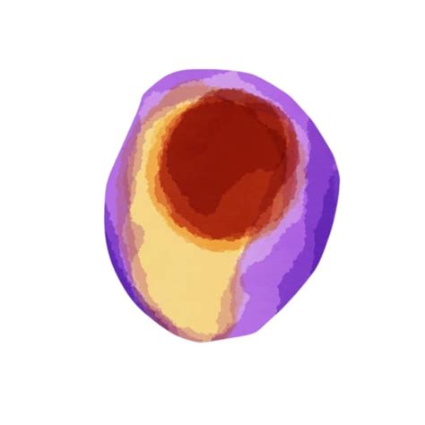 Morphis Upcoming Events · Shotgun