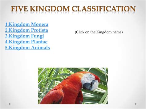 Ppt Five Kingdom Classification The Complete Way Of Learning Animal