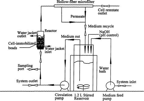 Figure 1 From Process Development Of Propionic Acid Production By