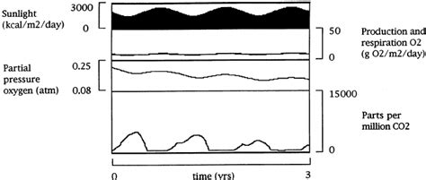 Combined Biome Model Simulation Without The Contributions Of The