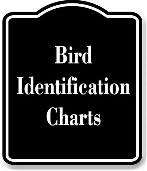 Bird Identification Charts Black Aluminum Composite Sign £12 54