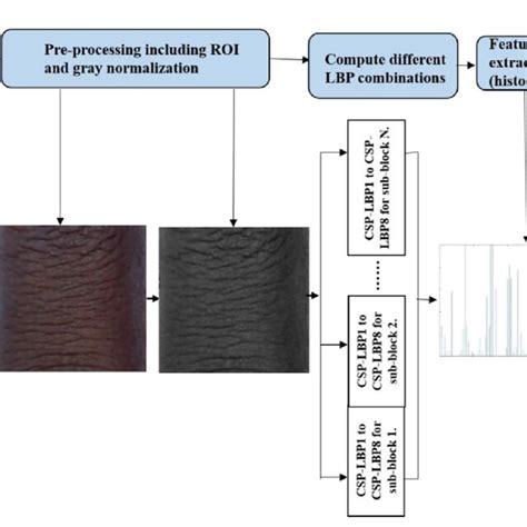 The Proposed Framework For Csc Lbp Based Dorsal Finger Creases
