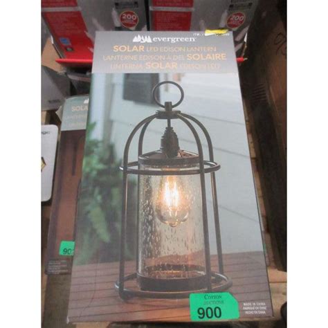 Evergreen Led Solar Edison Lantern