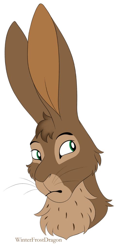 Hawkbit By Winterfrostdragon On Deviantart