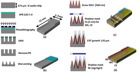 Fabrication Of A Microneedle CNT Hierarchical Micro Nano Surface Electrochemical Sensor And Its