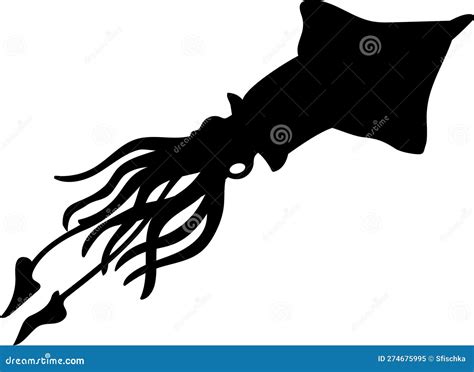 Silhueta Vetor De Lulas Preto Ilustração Do Vetor Ilustração De Calamar Selvagem 274675995