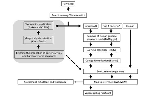 Workflow Of Sequence Data Analysis Top 4 Bacteria Included Download Scientific Diagram