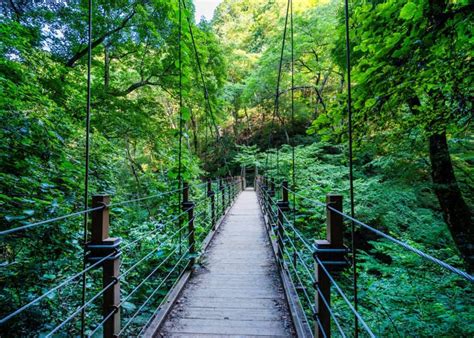 Tokyos Mt Takao 15 Reasons Why Its A Must Visit Spot When Visiting
